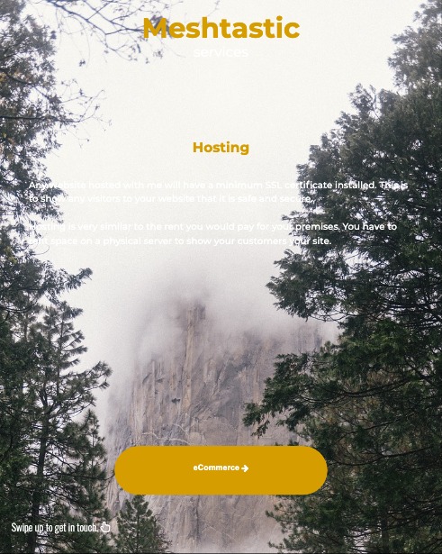 Websites Made Easy - Don't just get any website, get a meshtastic one!